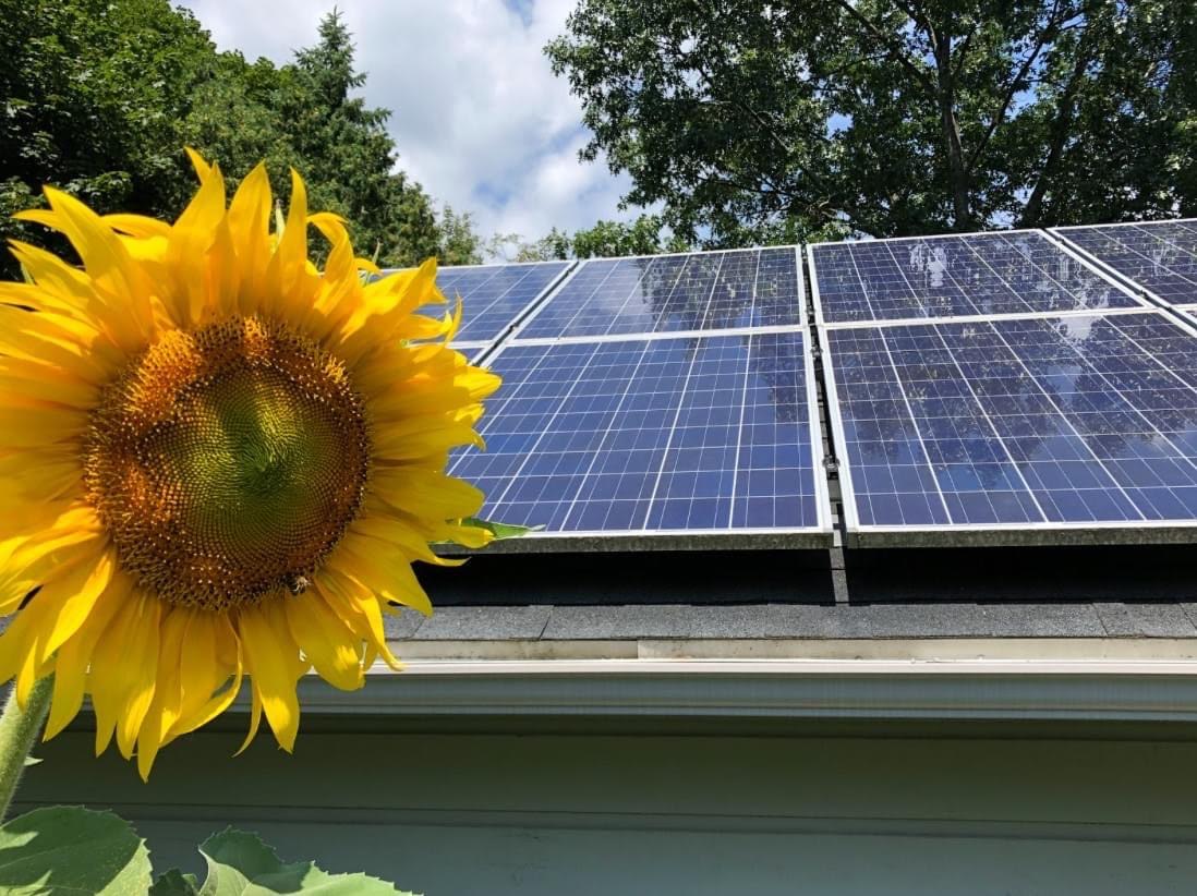 Personalized Solar Solutions | PlugPV